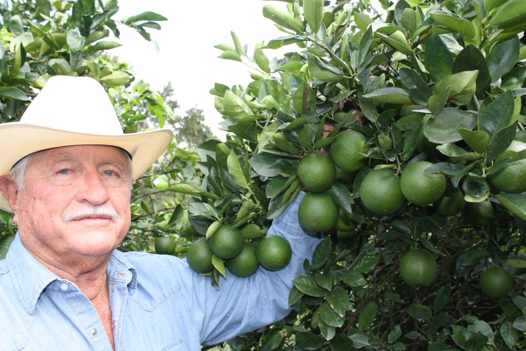 A Holistic Approach to Production - Citrus Industry Magazine
