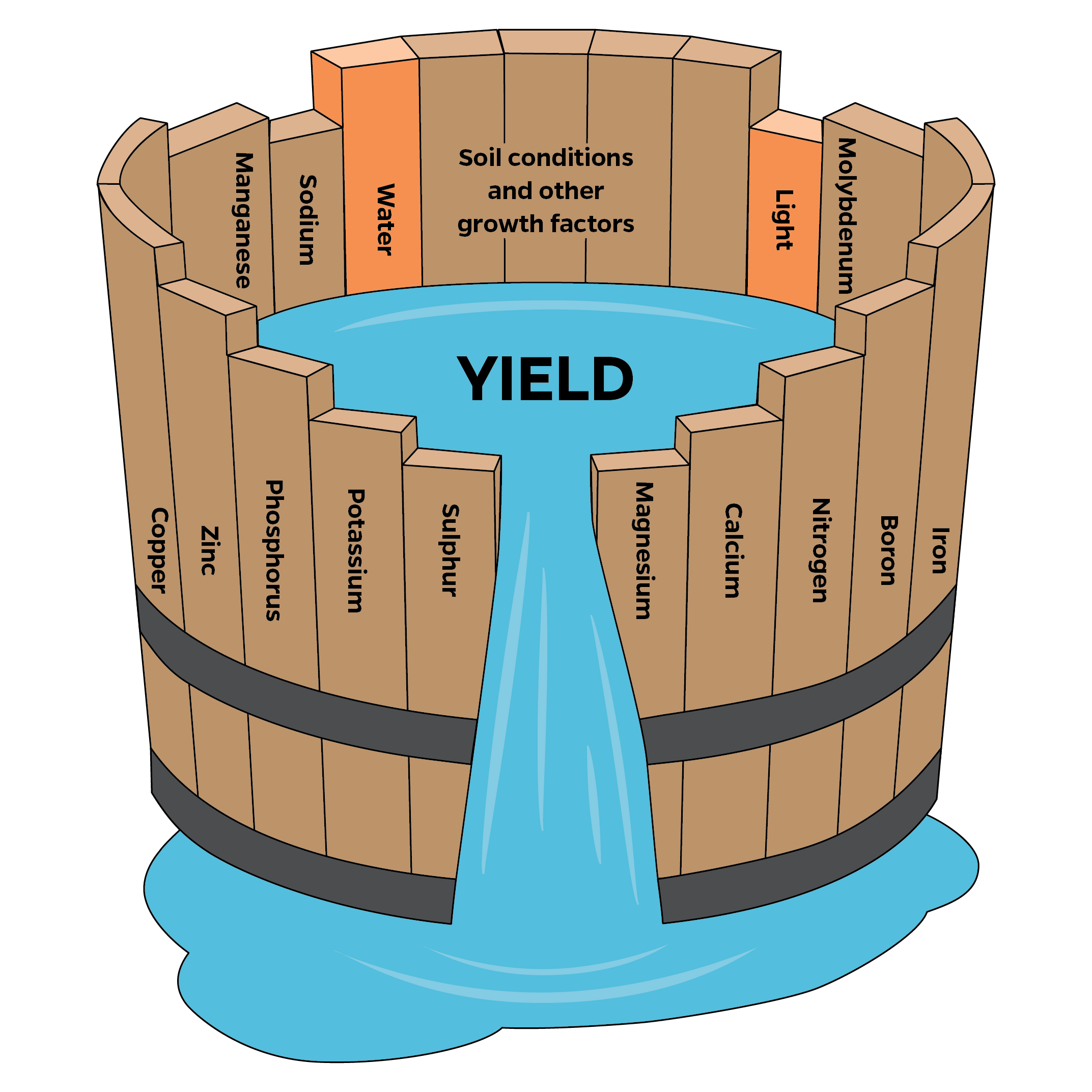 An Update on UF/IFAS-Grower Citrus Nutrition Trials - Citrus Industry ...