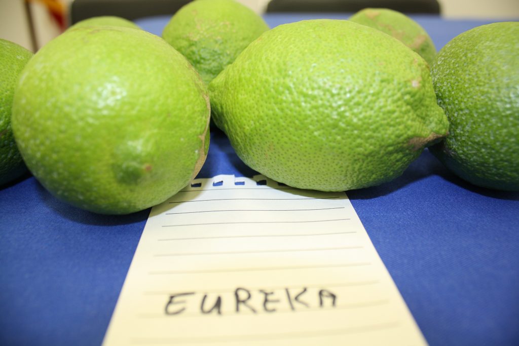 A Grower's Perspective on Marketing Lemons in Florida - Citrus Industry ...