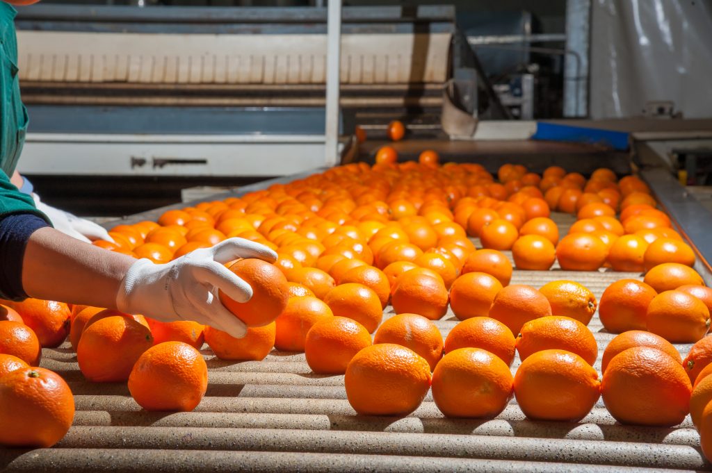 Food Safety Compliance for Fresh Citrus - Citrus Industry Magazine