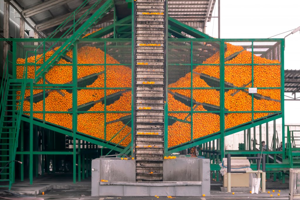 World Orange and OJ Production to Rise - Citrus Industry Magazine