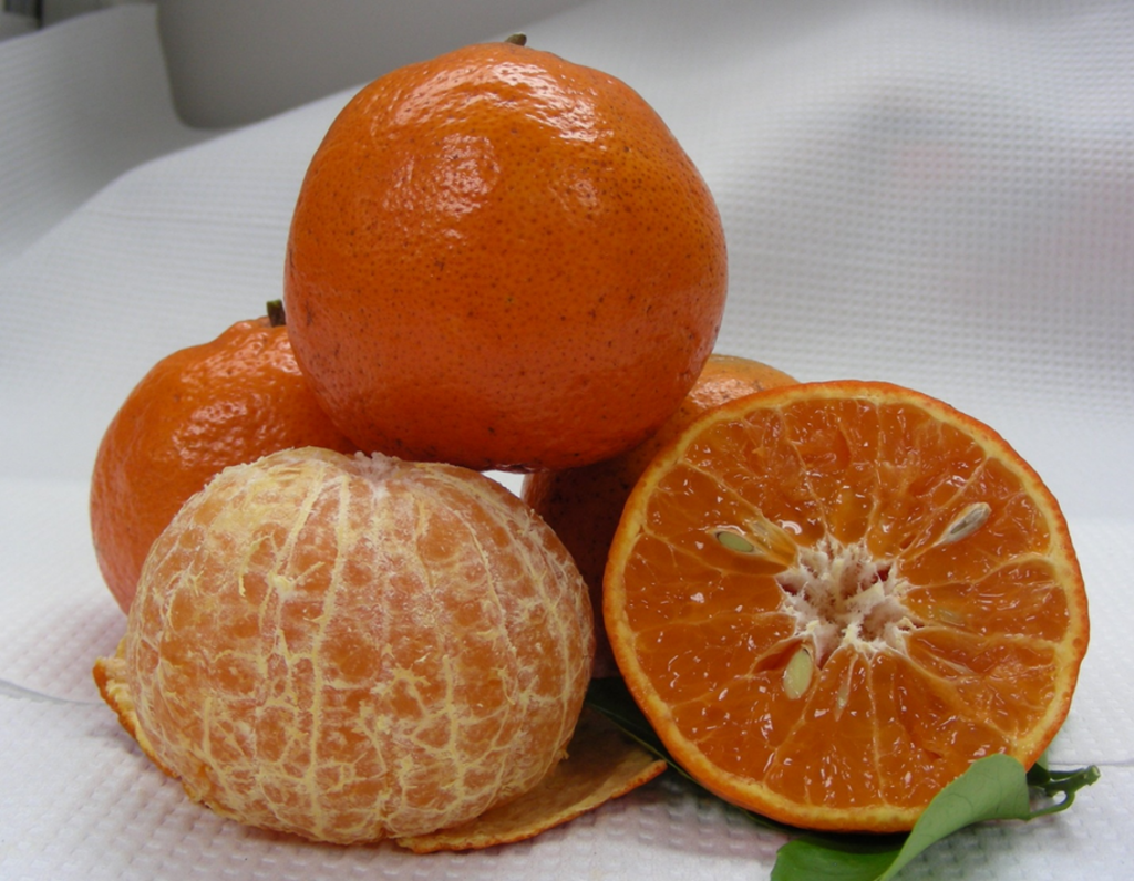 Niche Market and Dooryard Citrus for the HLB World - Citrus Industry ...