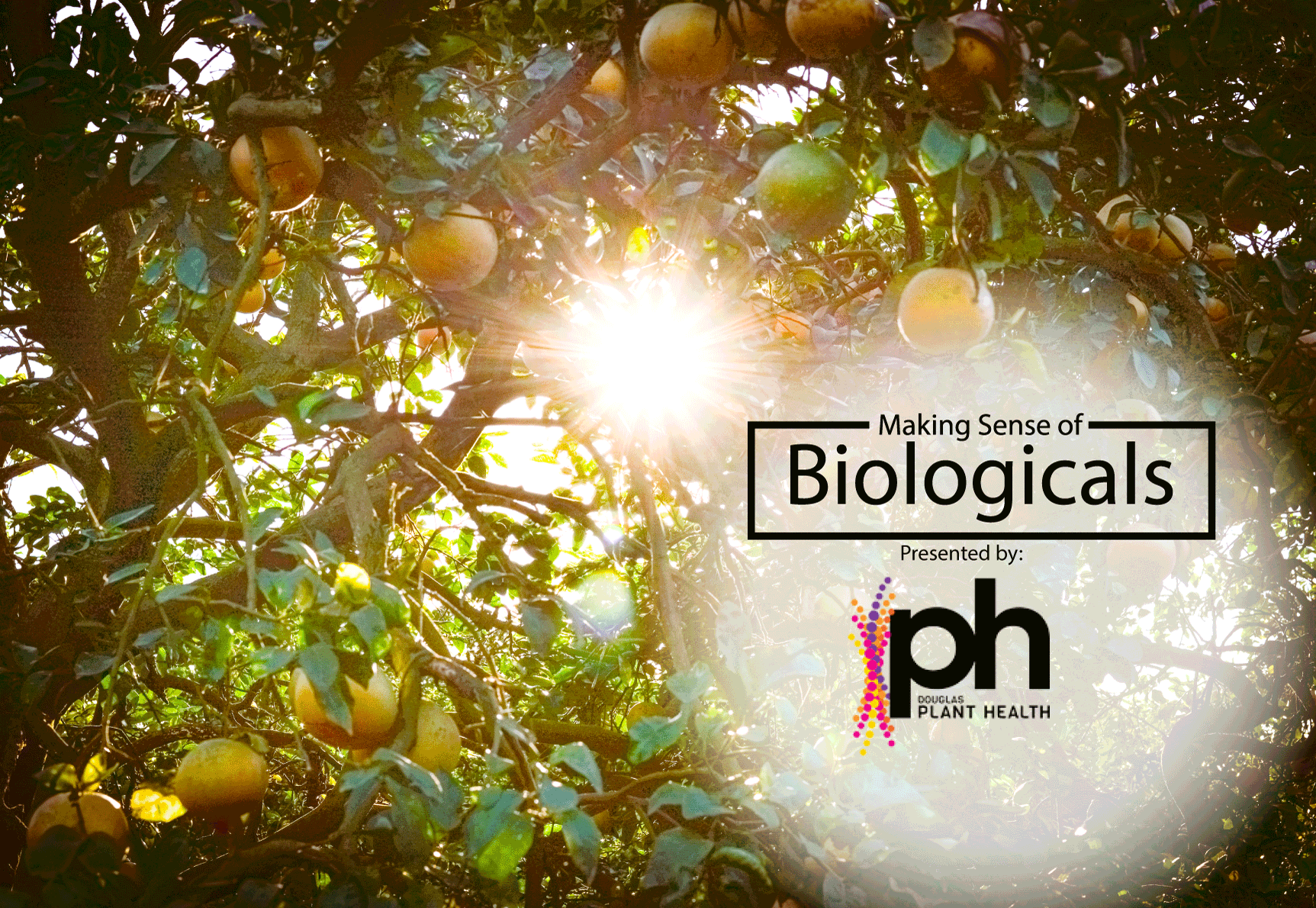Making Sense of Biologicals: Interest Increasing in Biologicals ...