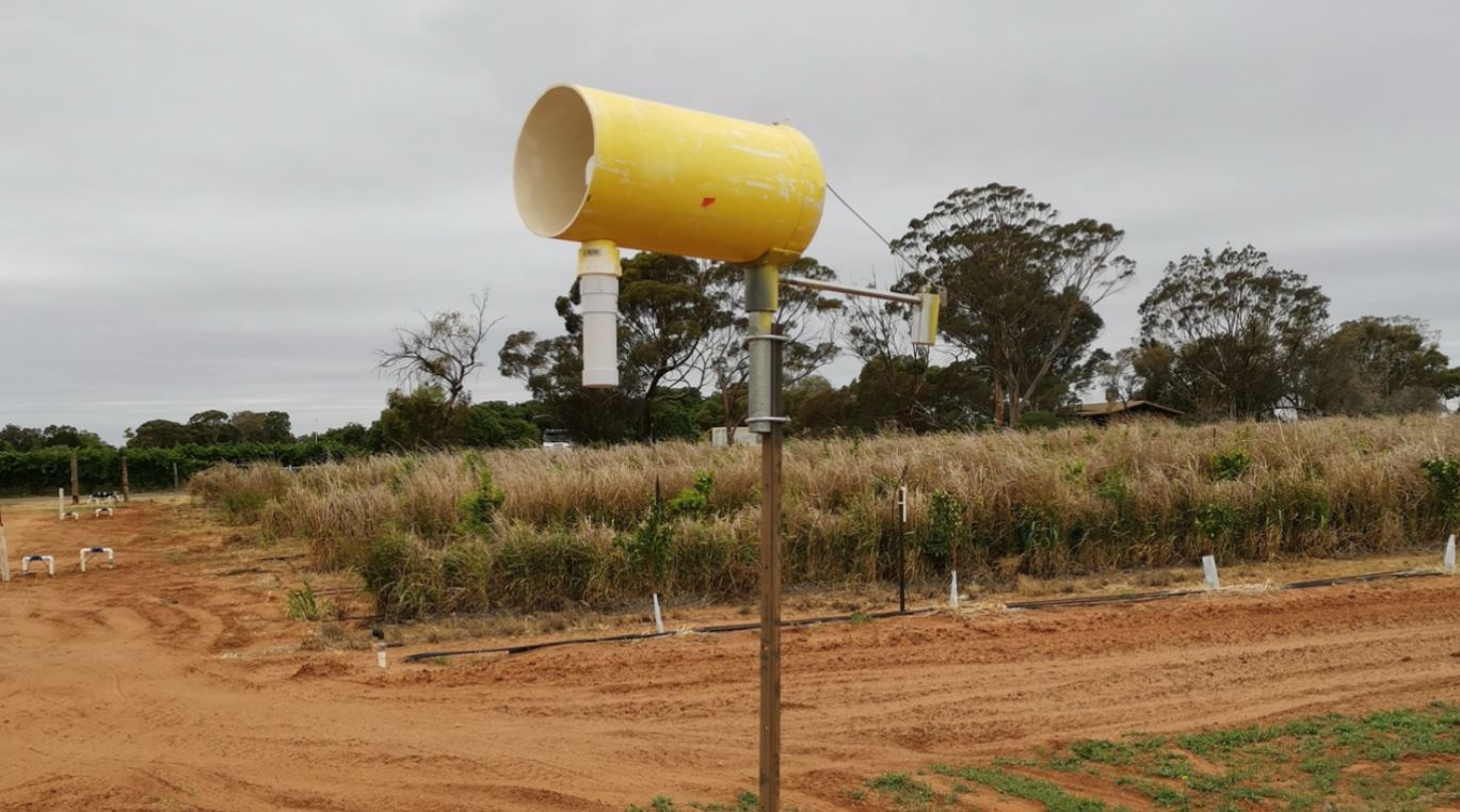 A-wind-trap-at-SuniTAFE-Mildura-Francesco-Martoni-Agriculture-Victoria ...