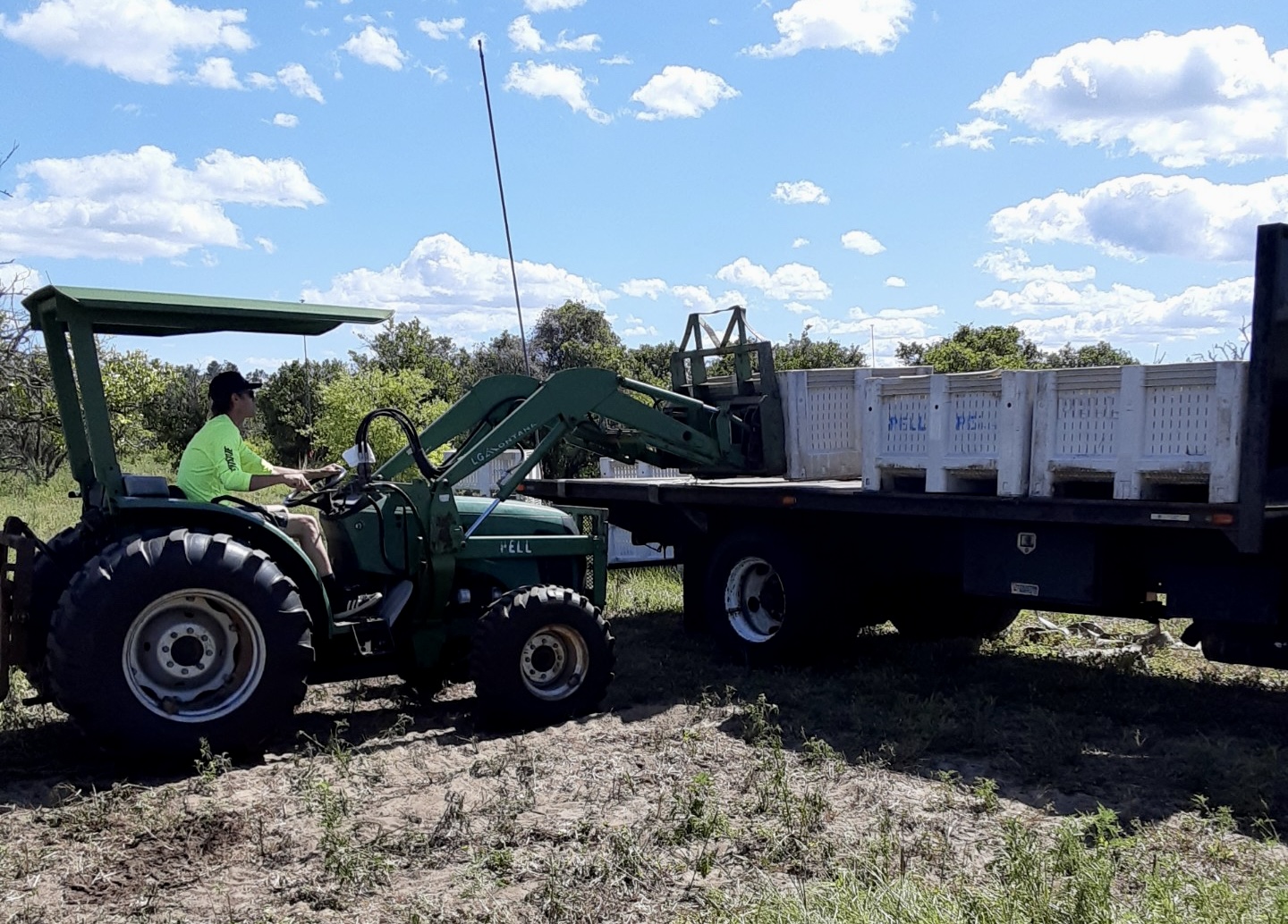 Affordable and Secure Food Act Introduced in Senate - Citrus Industry ...