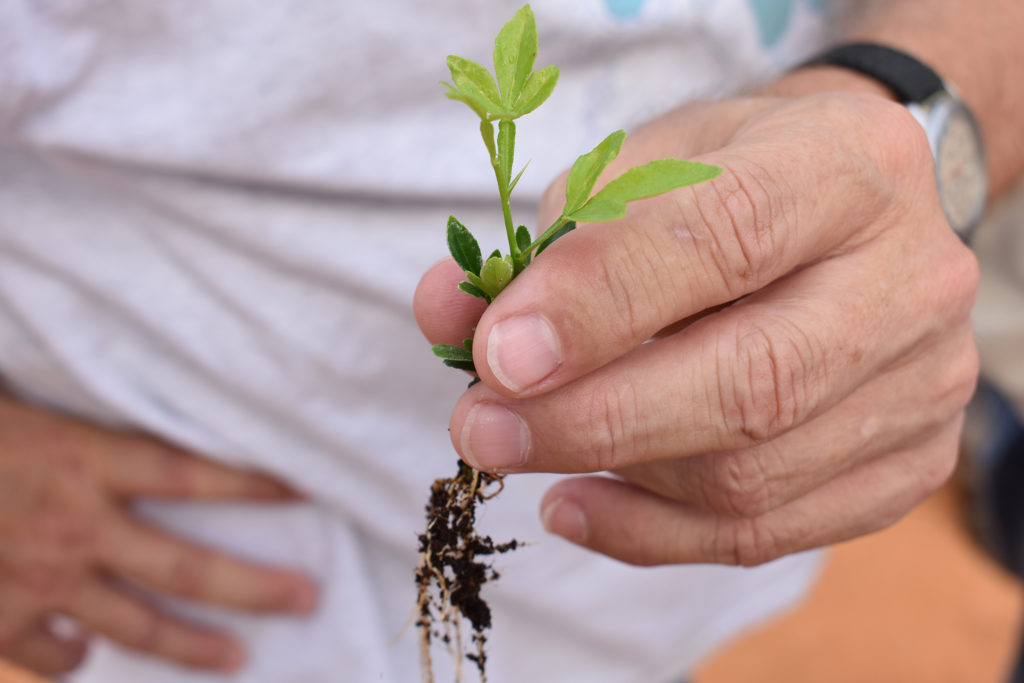 Department of Citrus Discusses Priorities for Research Funds - Citrus ...