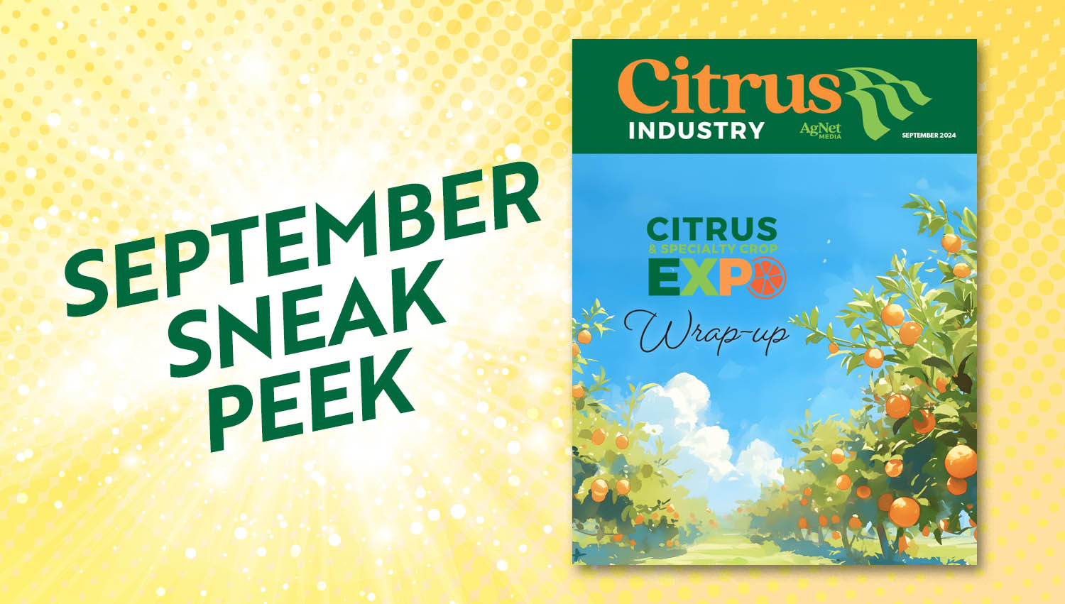 Sneak Peek: September 2024 Citrus Industry - Sneak Peek Citrus Industry ...