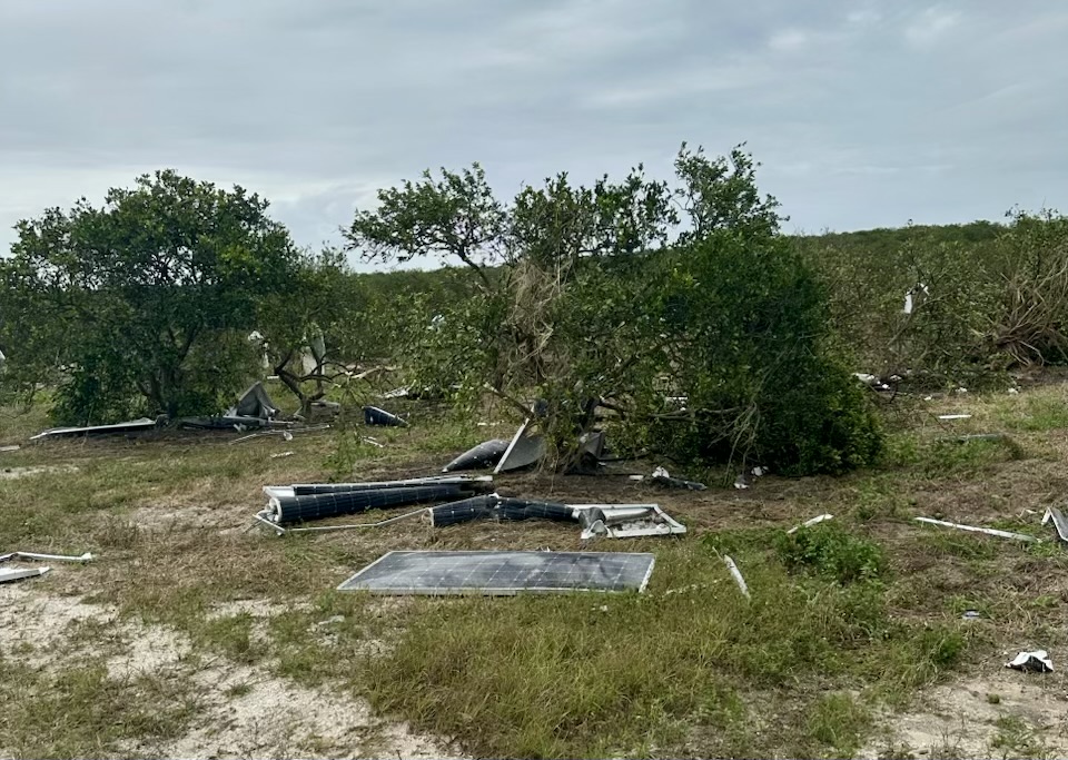 Hurricane Milton: Spotty Citrus Damage, Some Severe - hurricane Citrus ...