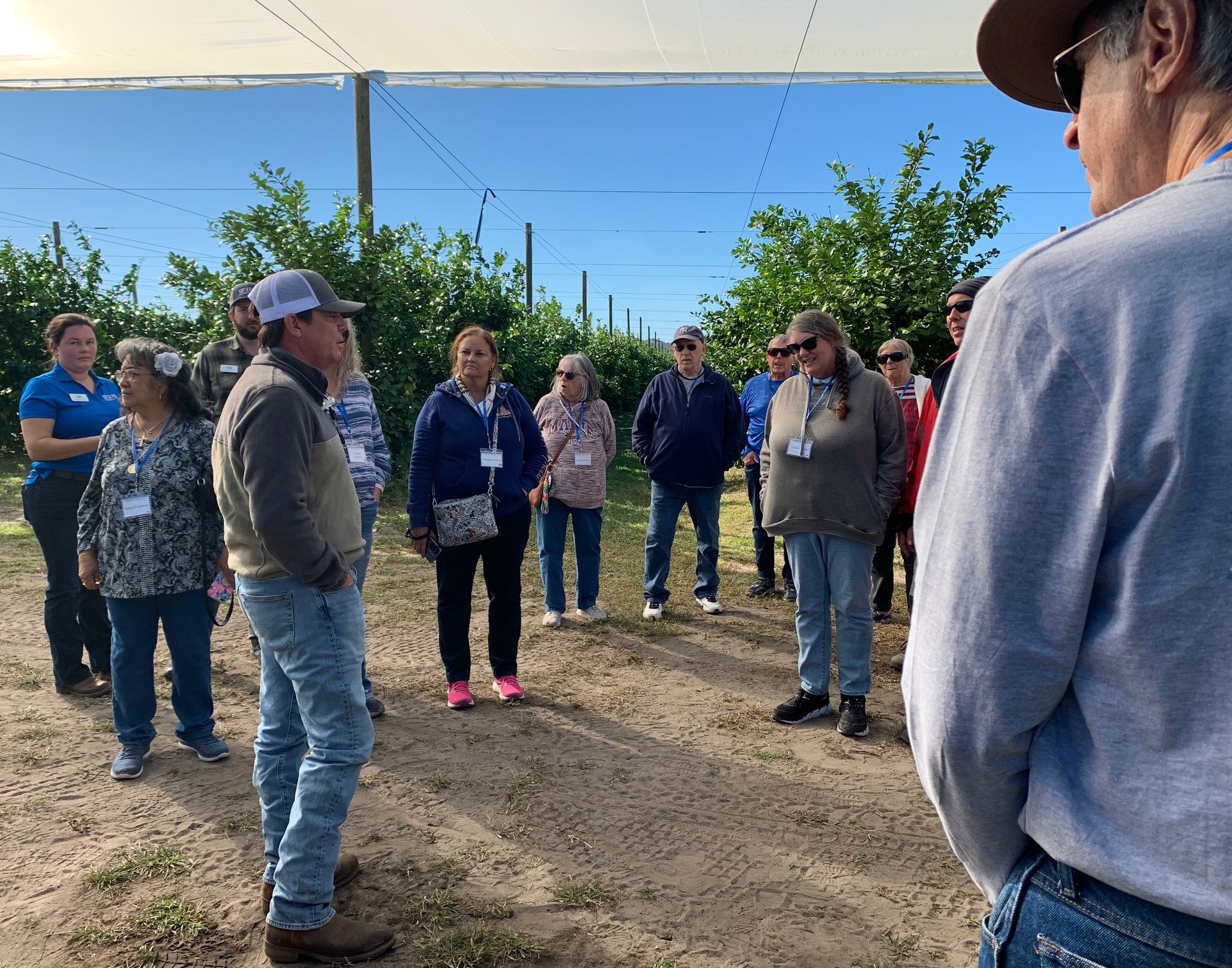 IMG Citrus Moving Forward With More CUPS - CUPS Citrus Industry Magazine