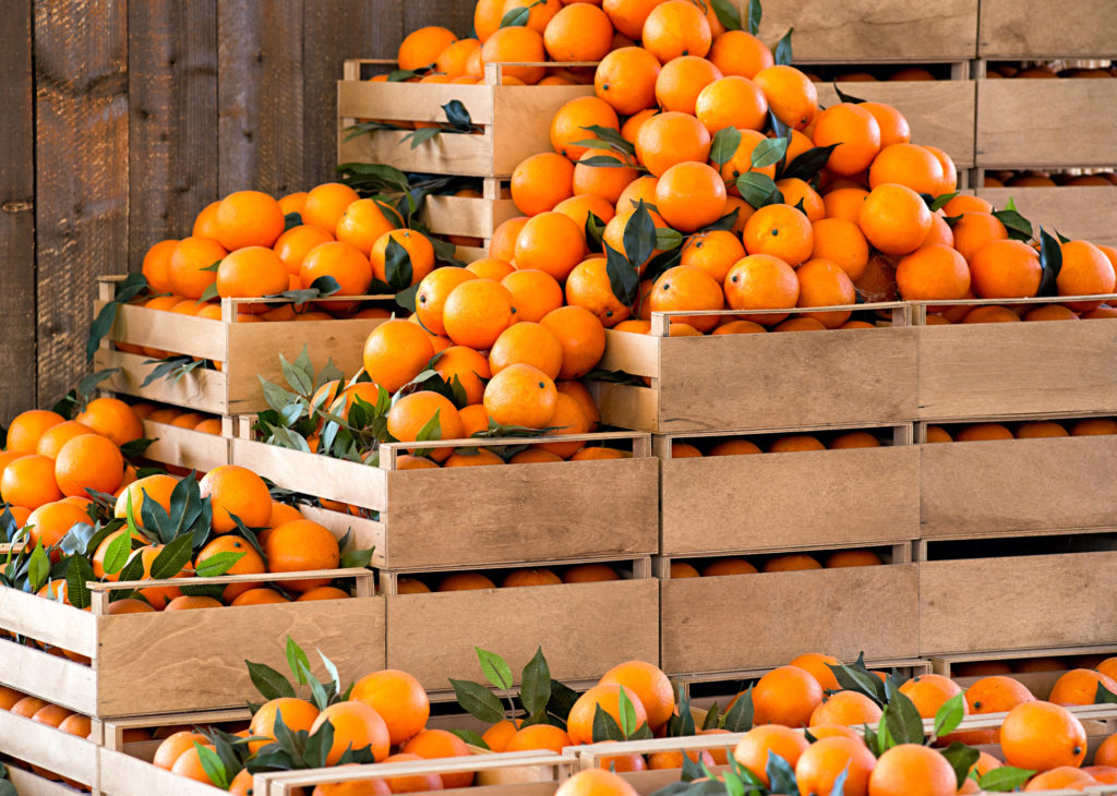 China Has Changes in Orange and OJ Production - International Citrus ...