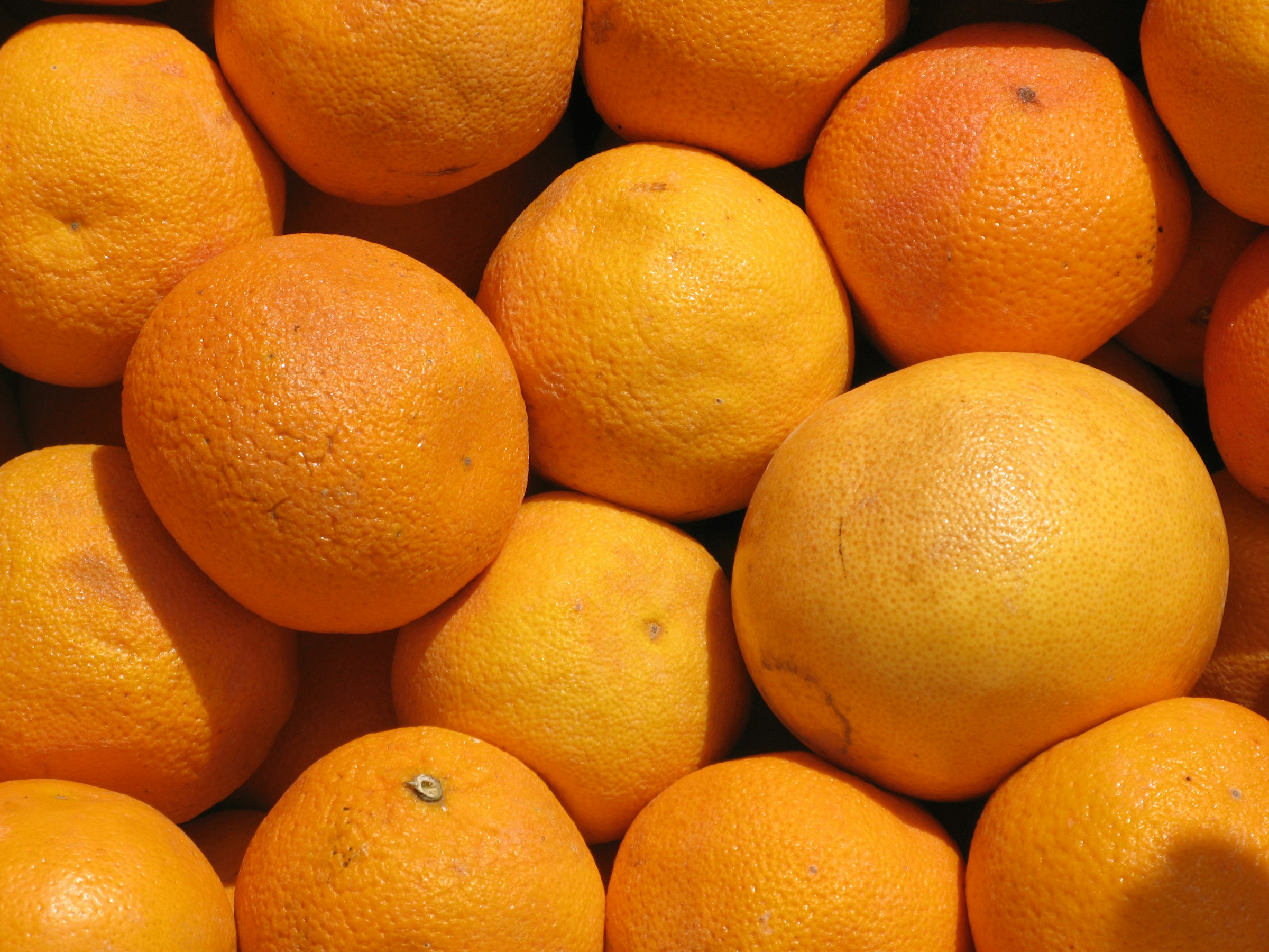 Citrus Crop Forecast Shows Changes in All States - Crop Forecast Citrus ...